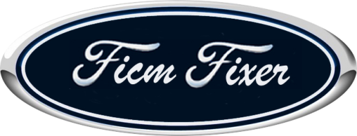 FICM FIXER - Work Order Form